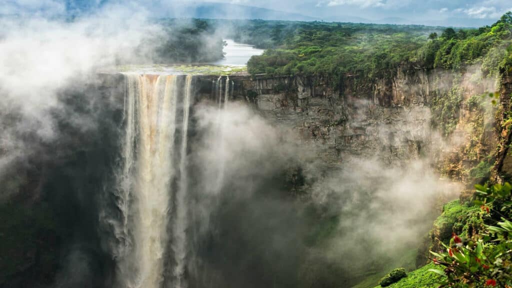 7 Giant Reasons to Visit Guyana - Oceanic Society