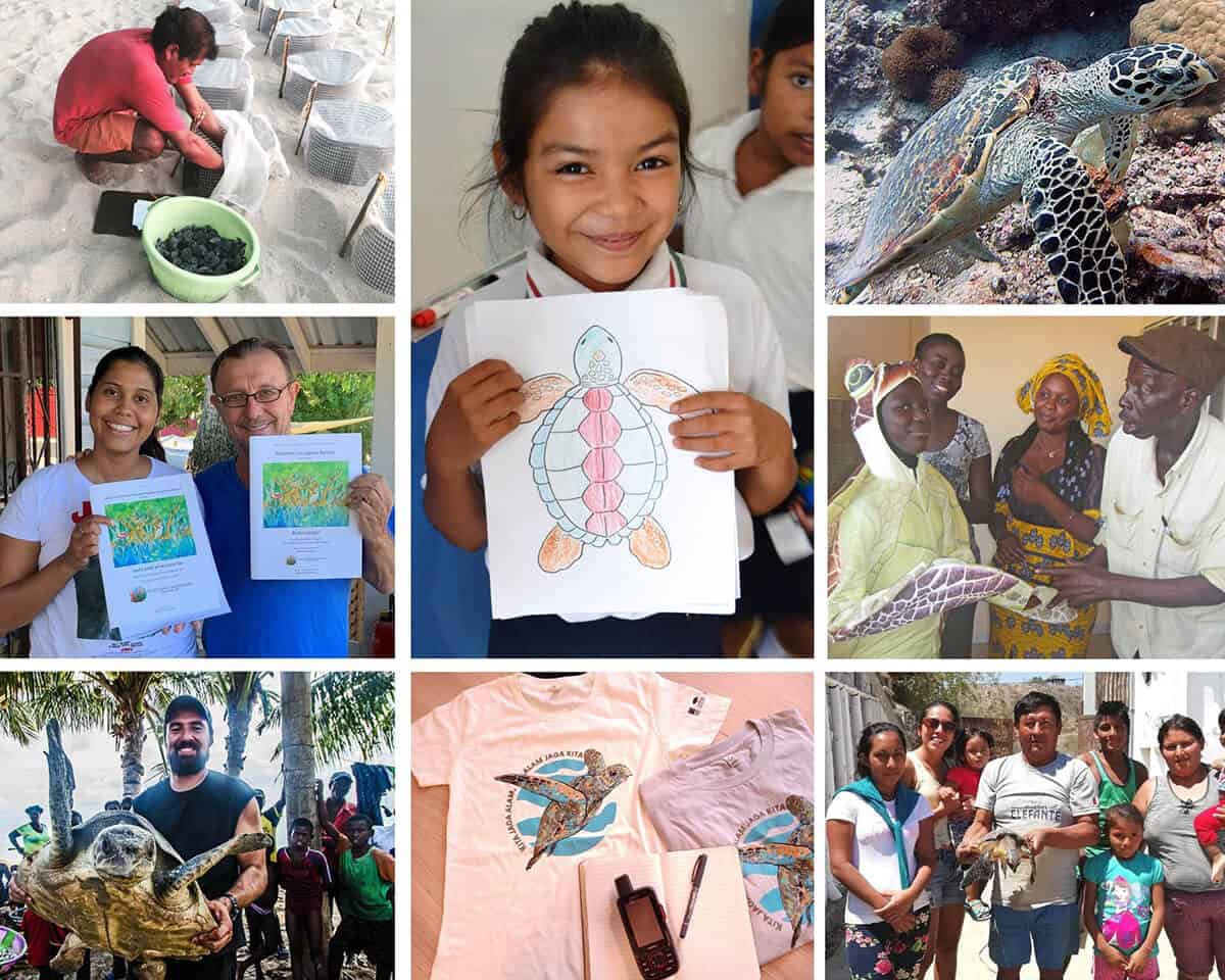 12 Grants Awarded to Sea Turtle Conservation Projects Worldwide ...