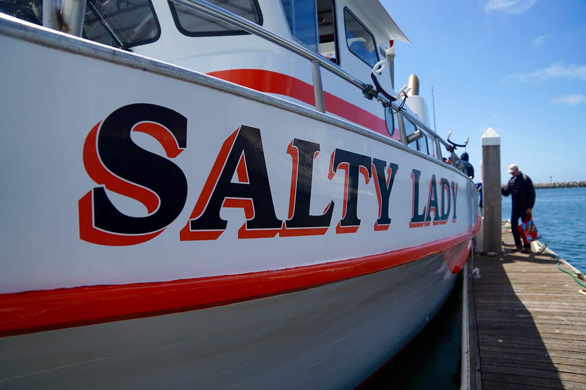 Salty Lady Ship San Francisco - Oceanic Society