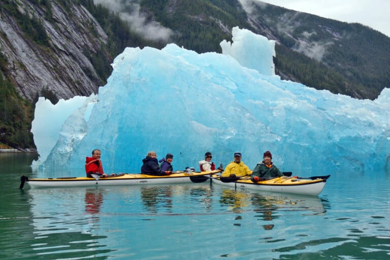 Oceanic Society | Ocean conservation since 1969