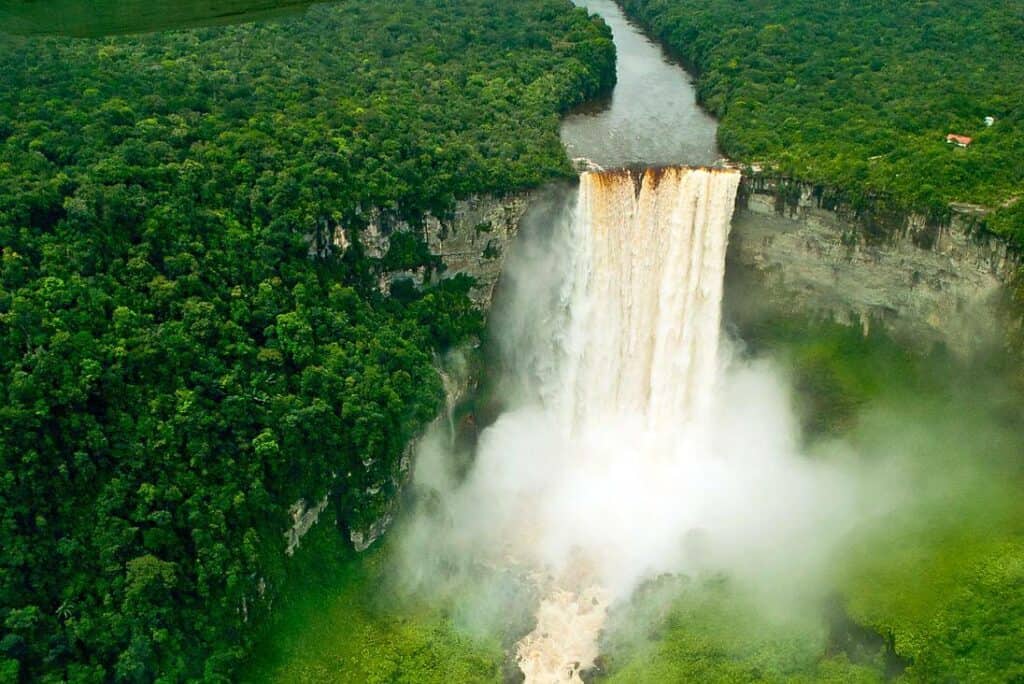 Wildlife Trips for Nature Lovers - Oceanic Society