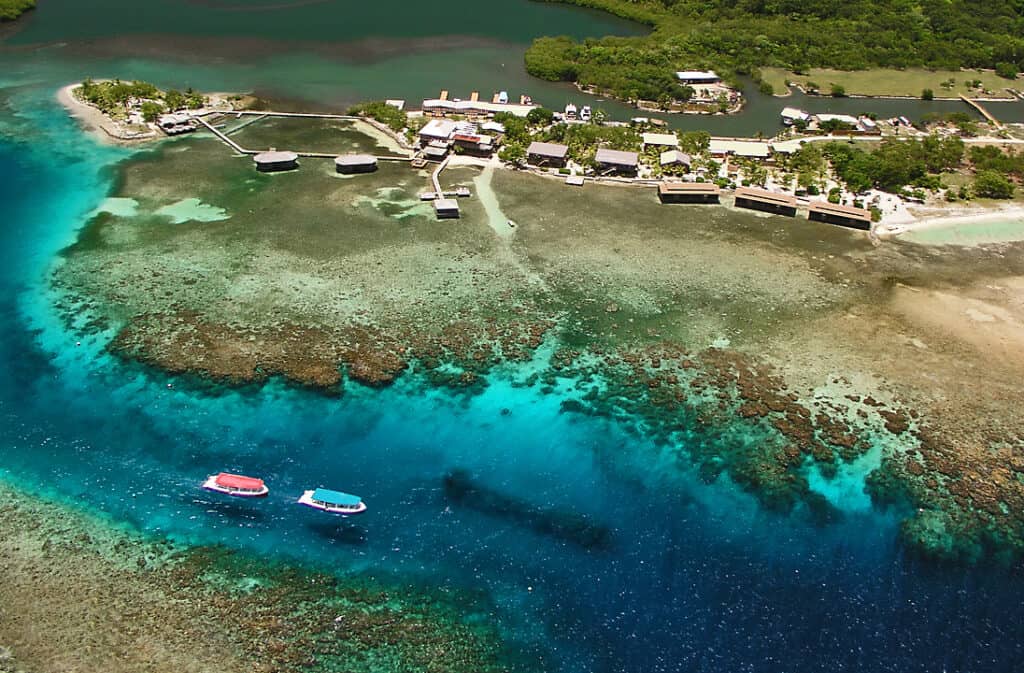 Honduras: Bay Islands Snorkeling - Oceanic Society