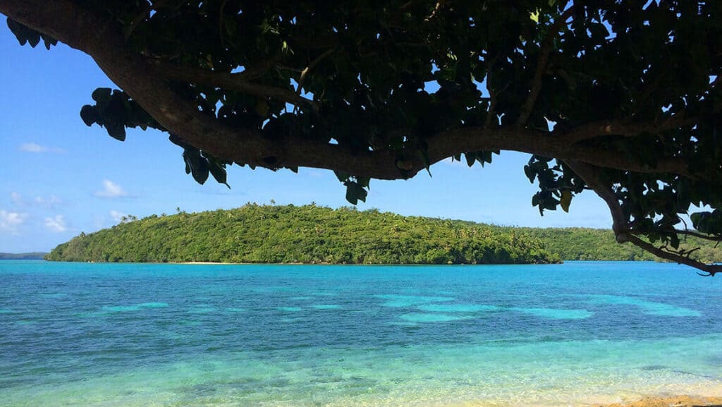 Tonga and Fiji: Whale and Reef Snorkeling Adventure - Oceanic Society