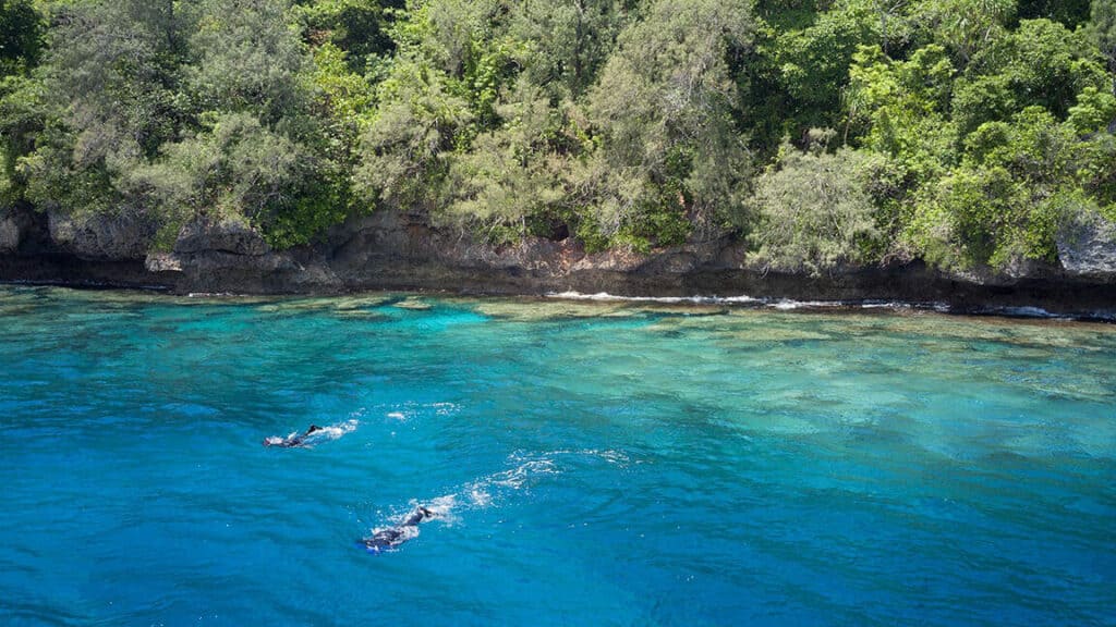 Tonga and Fiji: Whale and Reef Snorkeling Adventure - Oceanic Society