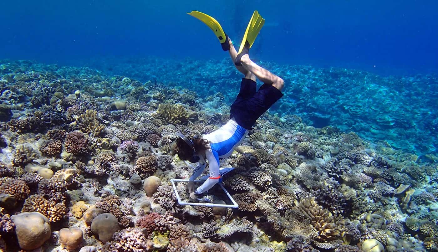 Marine Conservation Volunteer Trips - Oceanic Society