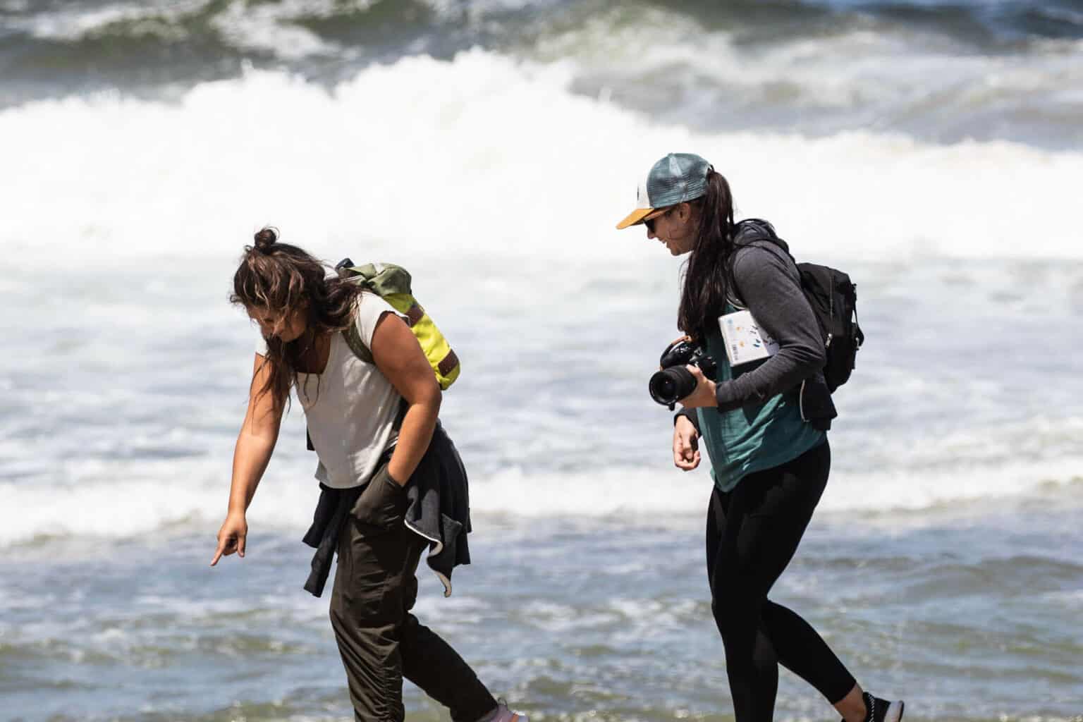 Oceanic Society Community Events Support Pro-Ocean Action - Oceanic Society