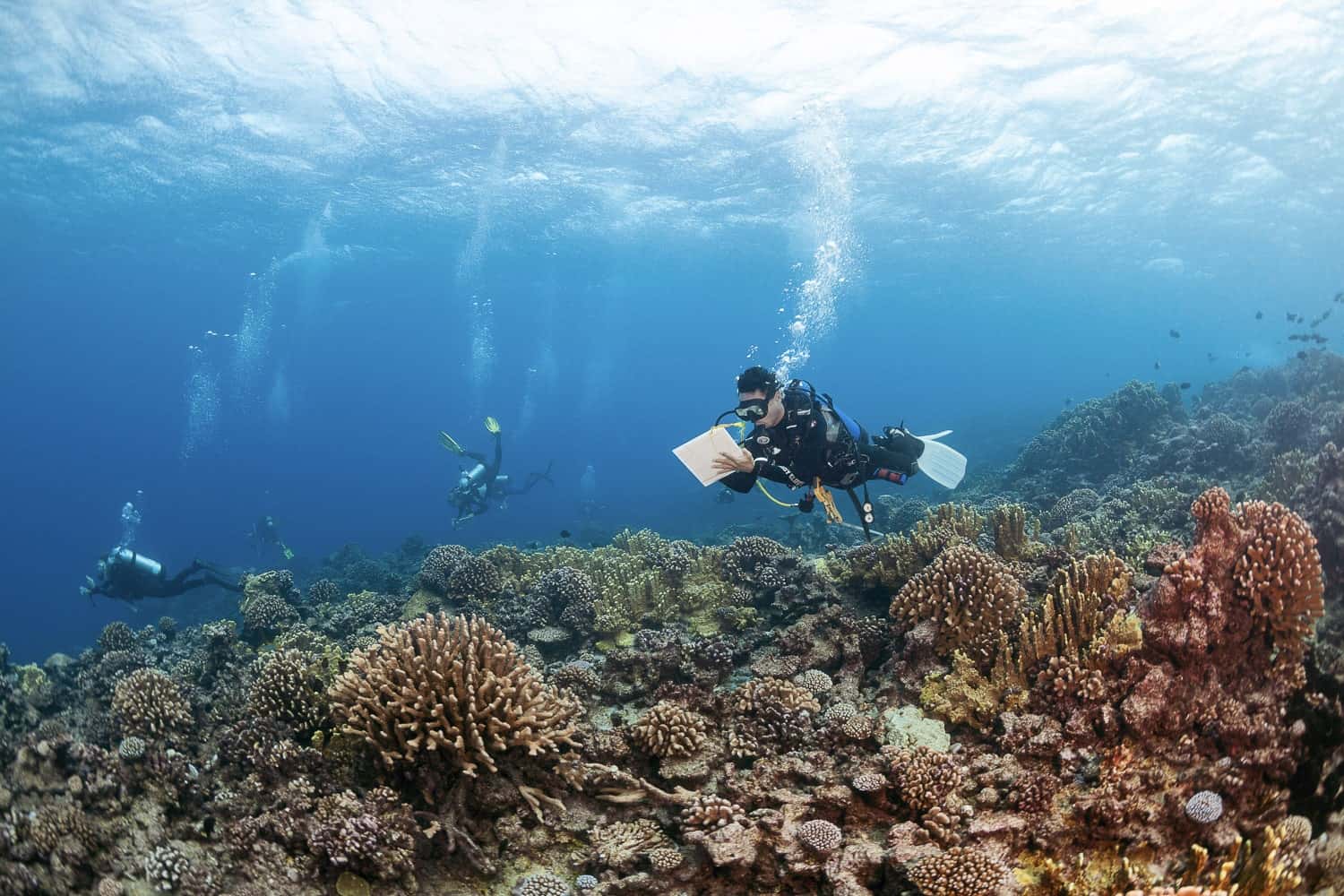 Climate Change - Oceanic Society