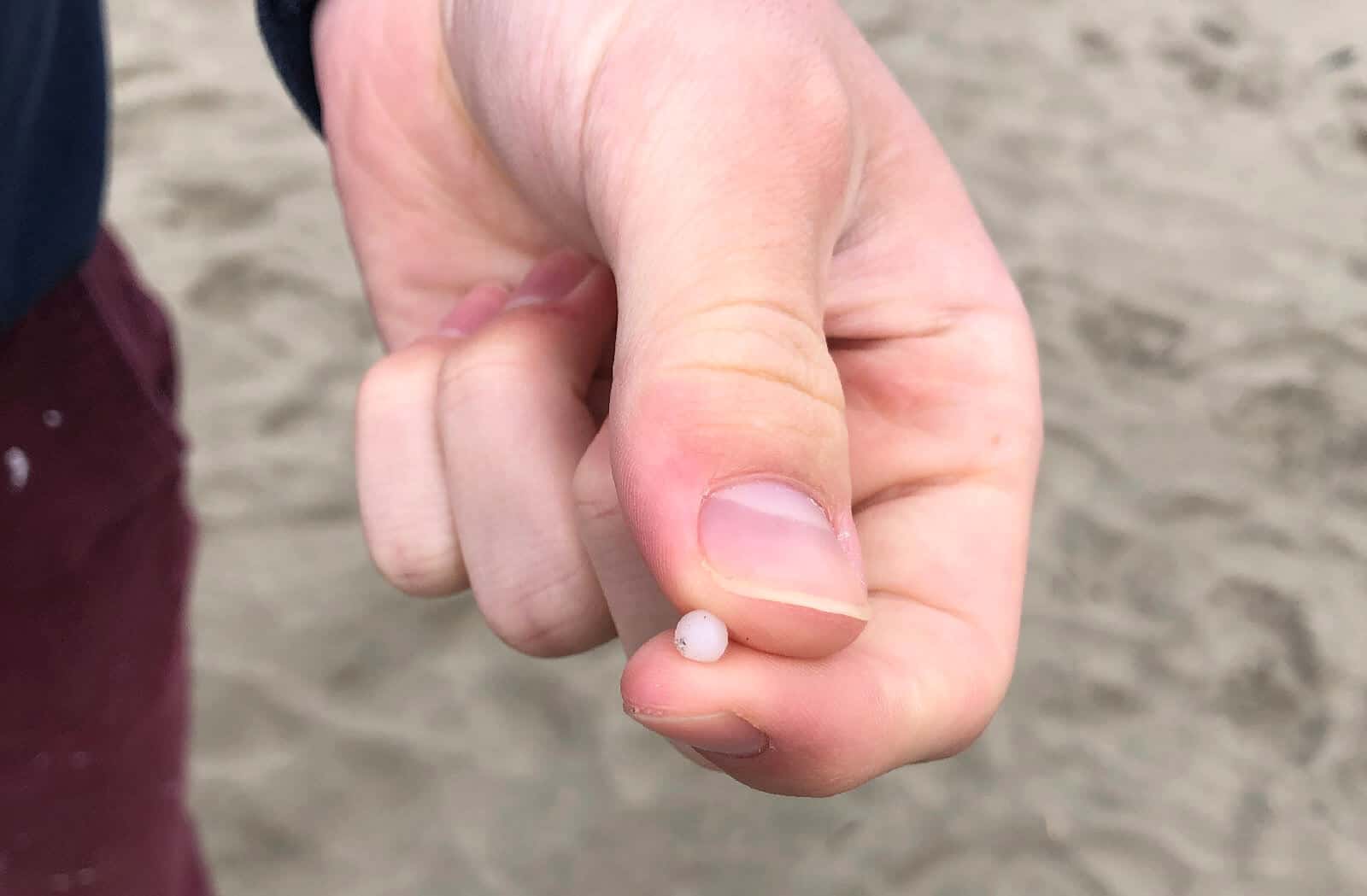 Tackling Microplastic Pollution at San Francisco’s Ocean Beach ...