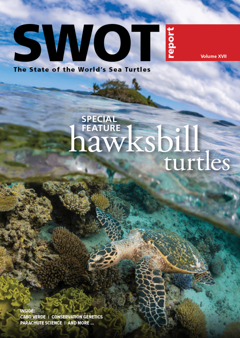 2022 State of the World’s Sea Turtles Report Published - Oceanic Society