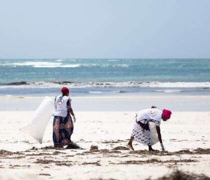 Global Ocean Cleanup to Fight Ocean Pollution Worldwide - Oceanic Society