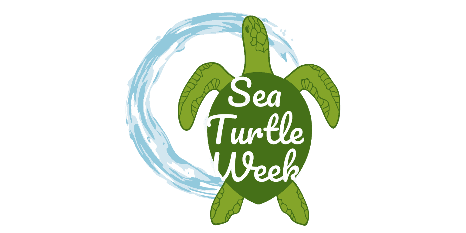 2025 Global Ocean Cleanup - Oceanic Society