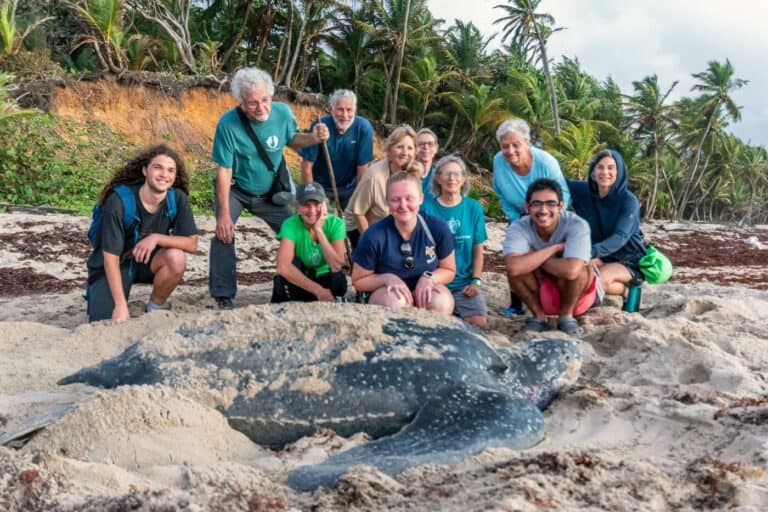 Best Small-Group Nature Trips for Solo Travelers - Oceanic Society