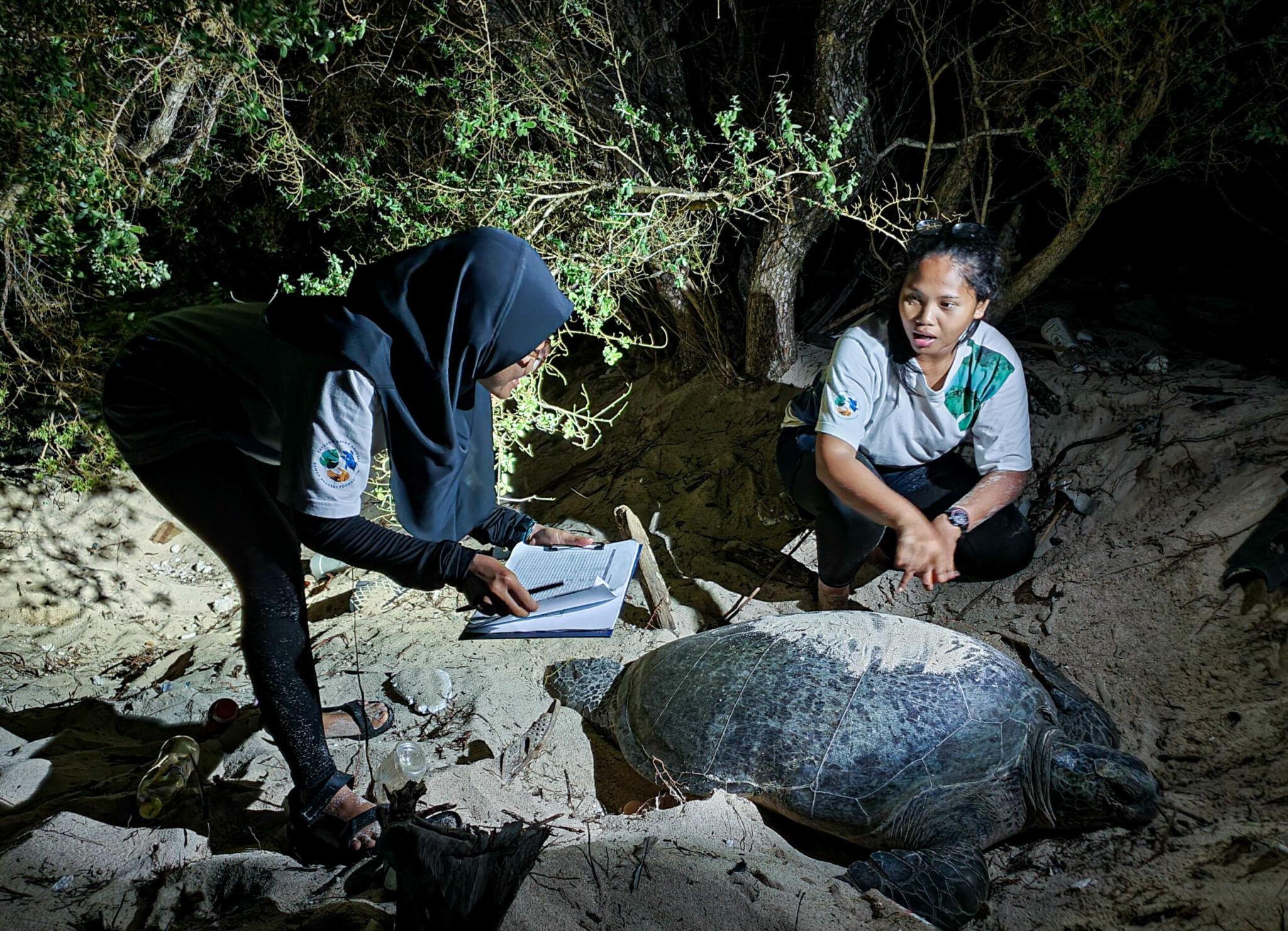 19 Grants Awarded for Global Sea Turtle Conservation - Oceanic Society