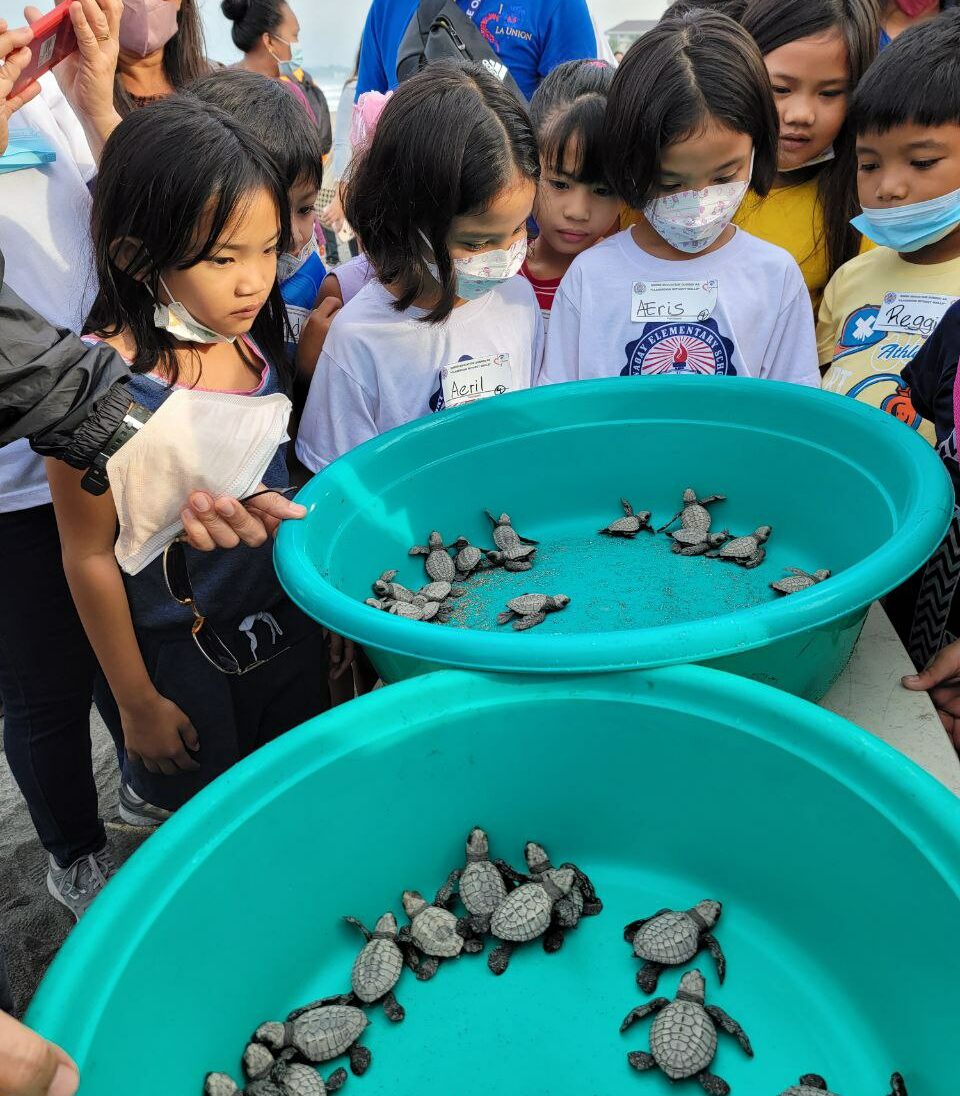 19 Grants Awarded for Global Sea Turtle Conservation - Oceanic Society