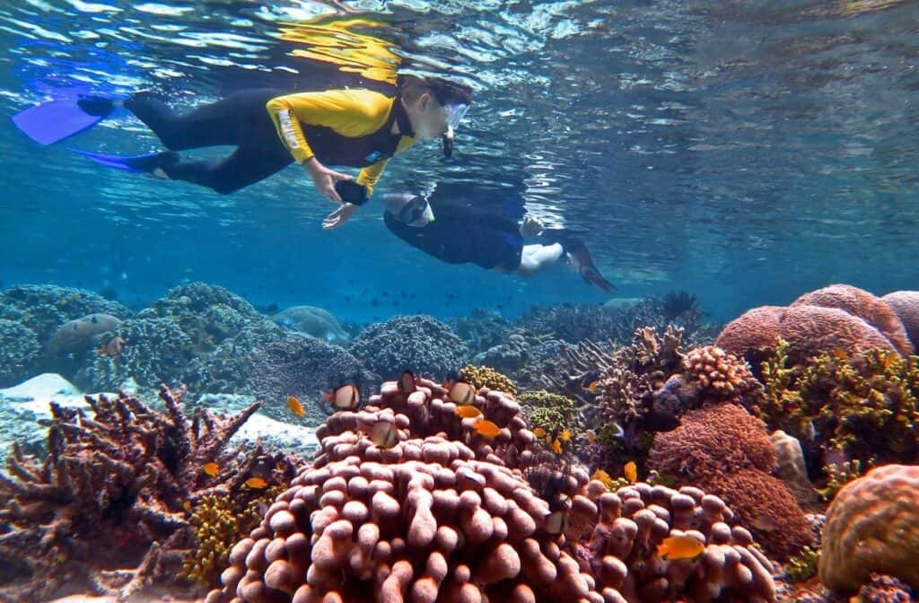Best Snorkeling in the World: 9 Ocean Adventures - Oceanic Society