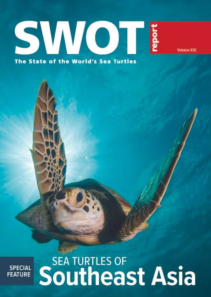 2024 State of the World’s Sea Turtles Report Published - Oceanic Society