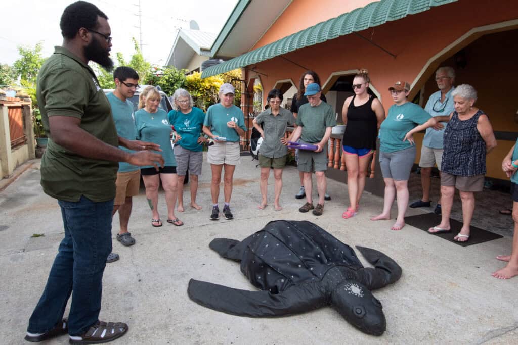 Sea Turtle Tourism Offers Opportunity to Observe and Interact While ...