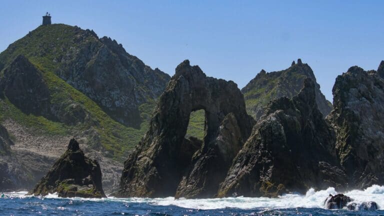 Farallon Islands: The Ultimate Guide - Oceanic Society