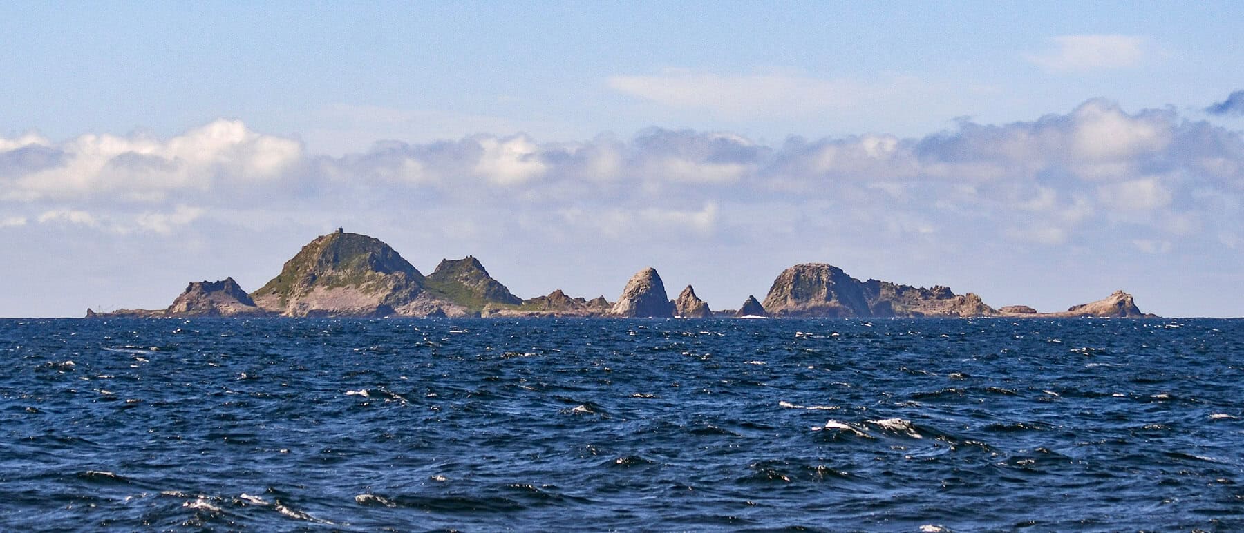 Farallon Islands: The Ultimate Guide - Oceanic Society
