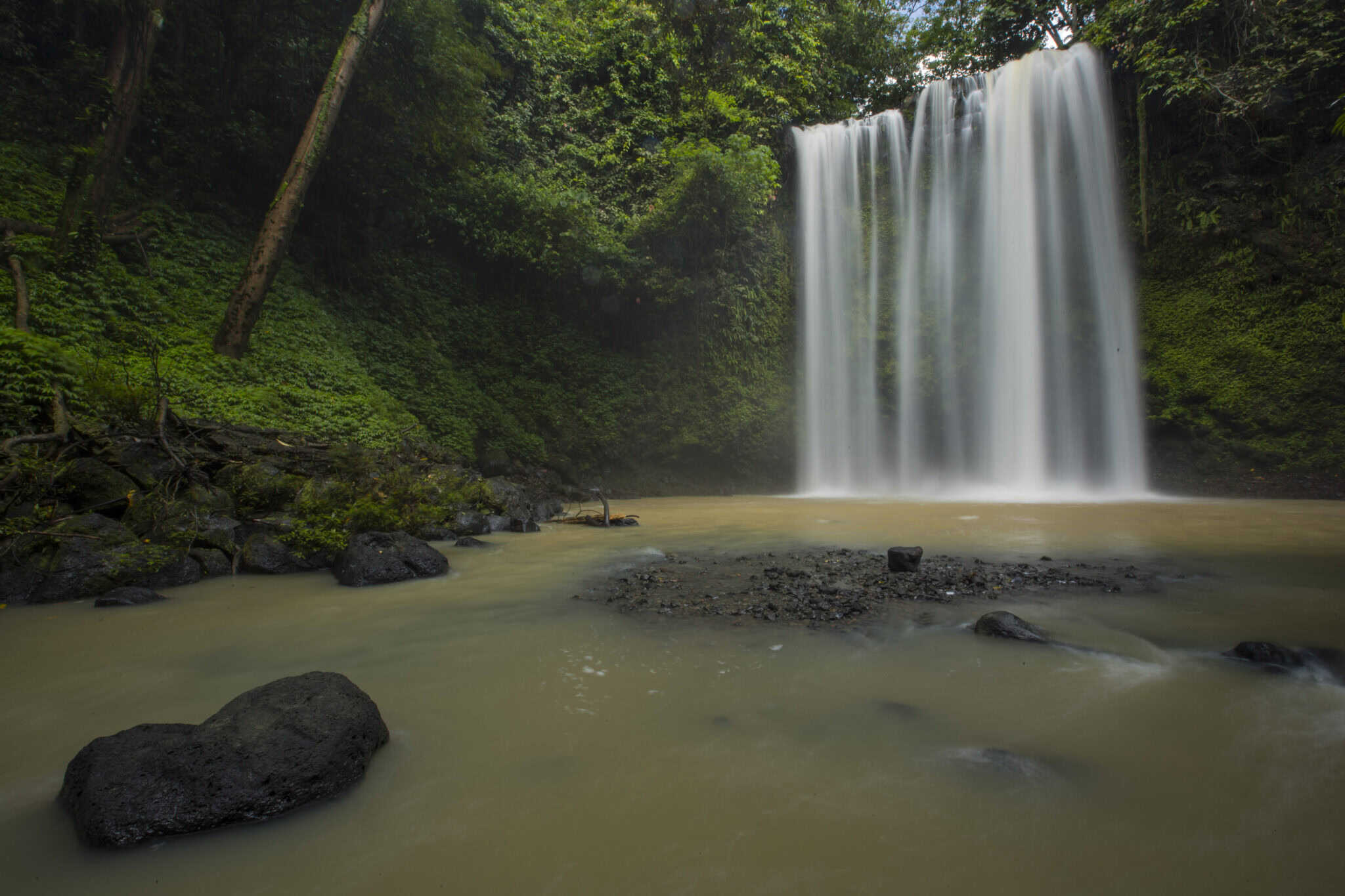 Oceanic Society | Ocean conservation since 1969