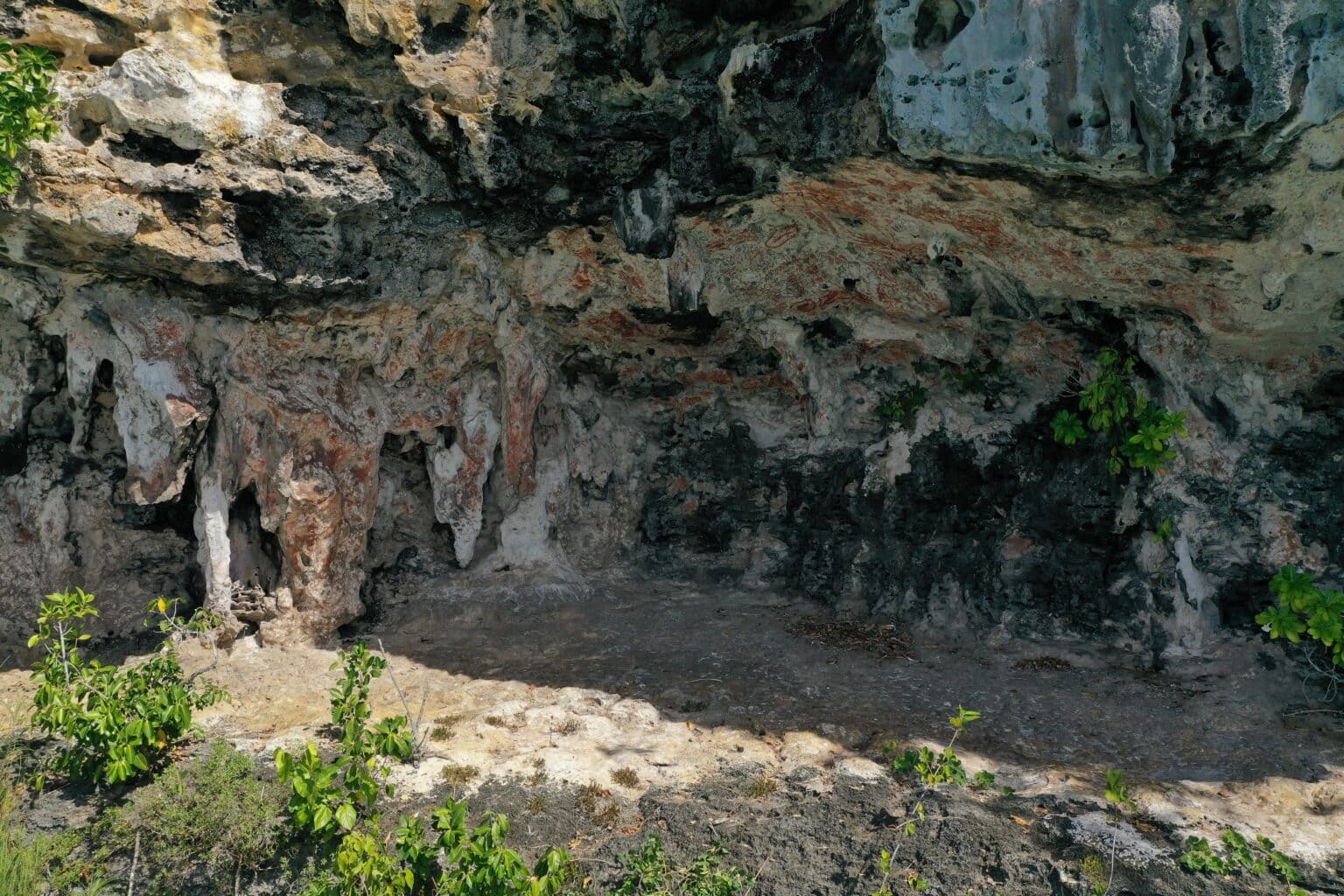 Discover Palau's Legendary Rock Islands - Oceanic Society