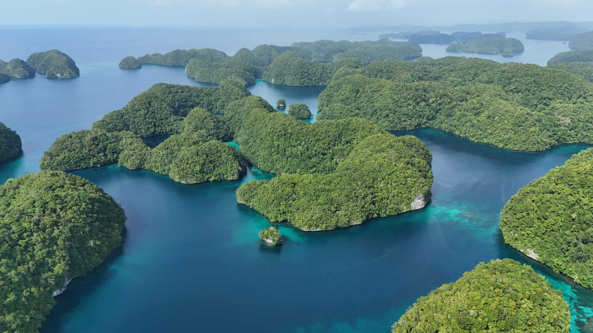 Discover Palau's Legendary Rock Islands - Oceanic Society
