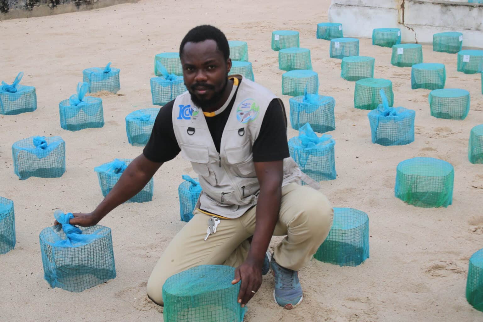 Meet The 20 Global Sea Turtle Projects to Receive Grants This Year ...