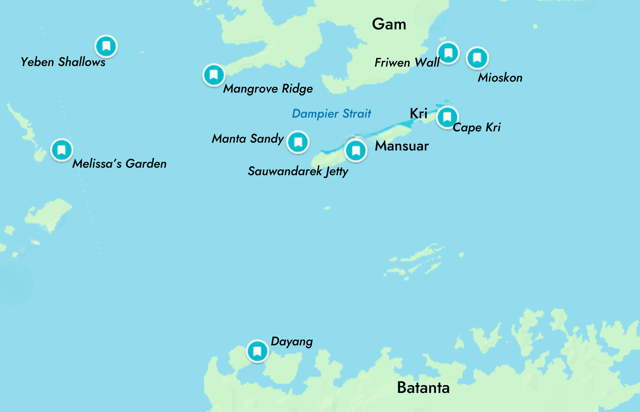Raja Ampat Snorkeling: Our Comprehensive Guide - Oceanic Society