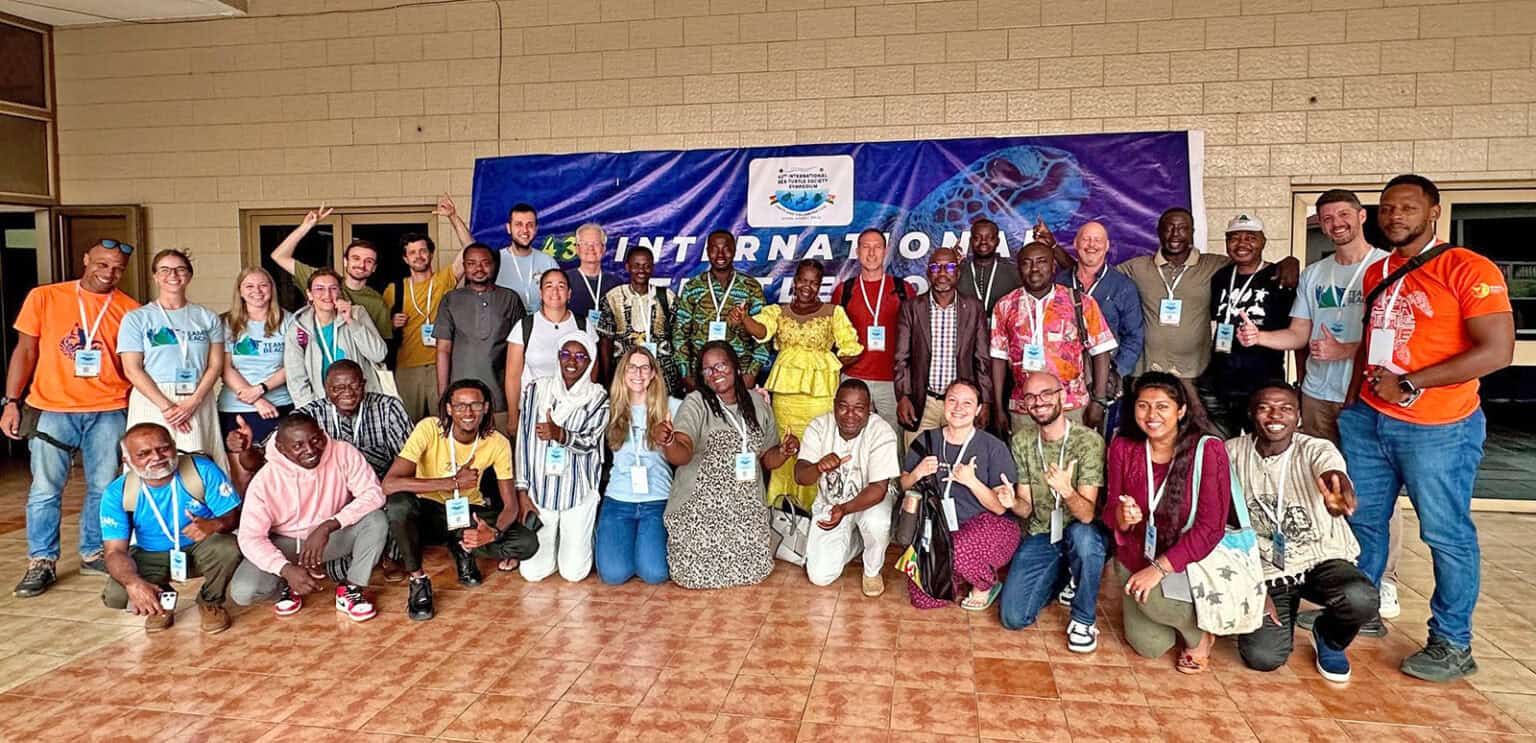 A Banner Year for Sea Turtle Conservation at Oceanic Society - Oceanic ...