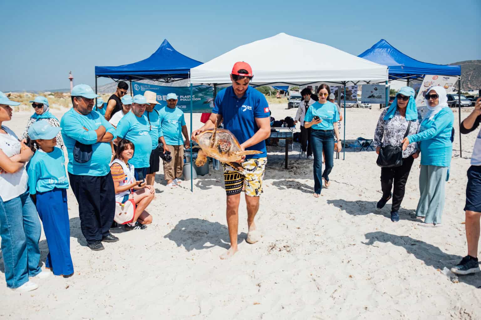 A Banner Year for Sea Turtle Conservation at Oceanic Society - Oceanic ...