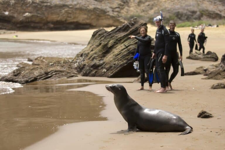 Best Small-Group Nature Trips for Solo Travelers - Oceanic Society