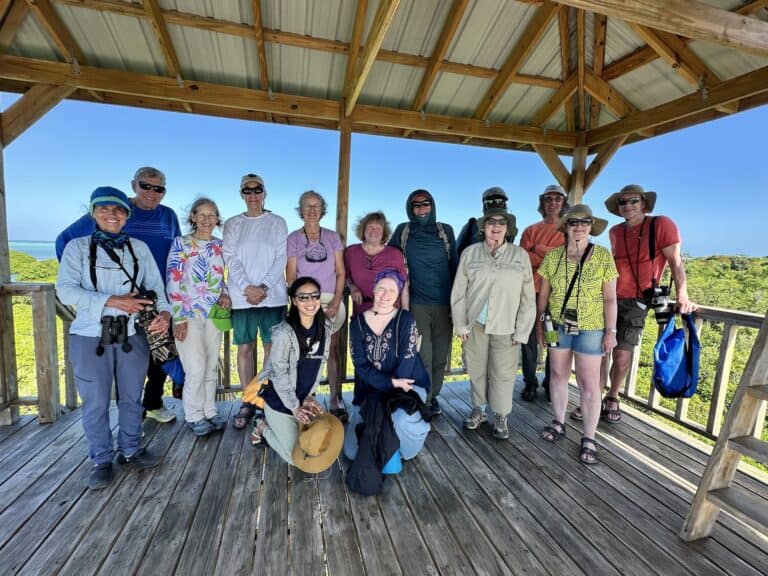Best Small-Group Nature Trips for Solo Travelers - Oceanic Society