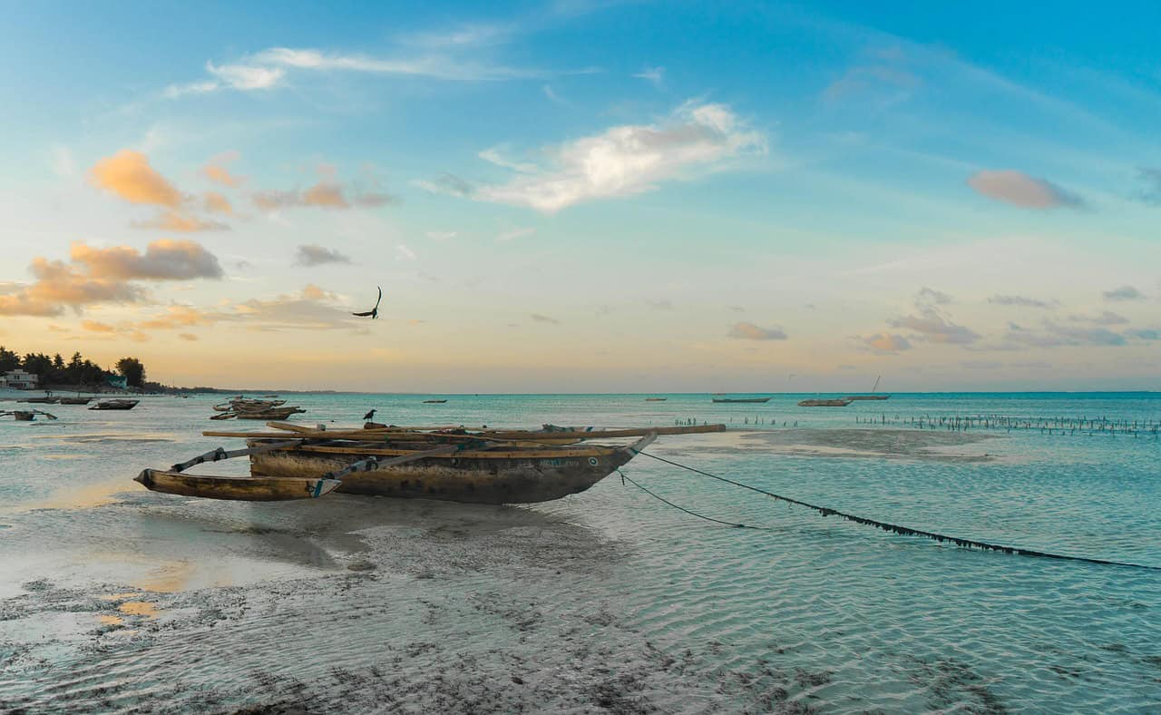 Best Places to Travel in 2026: Epic Destinations - Oceanic Society