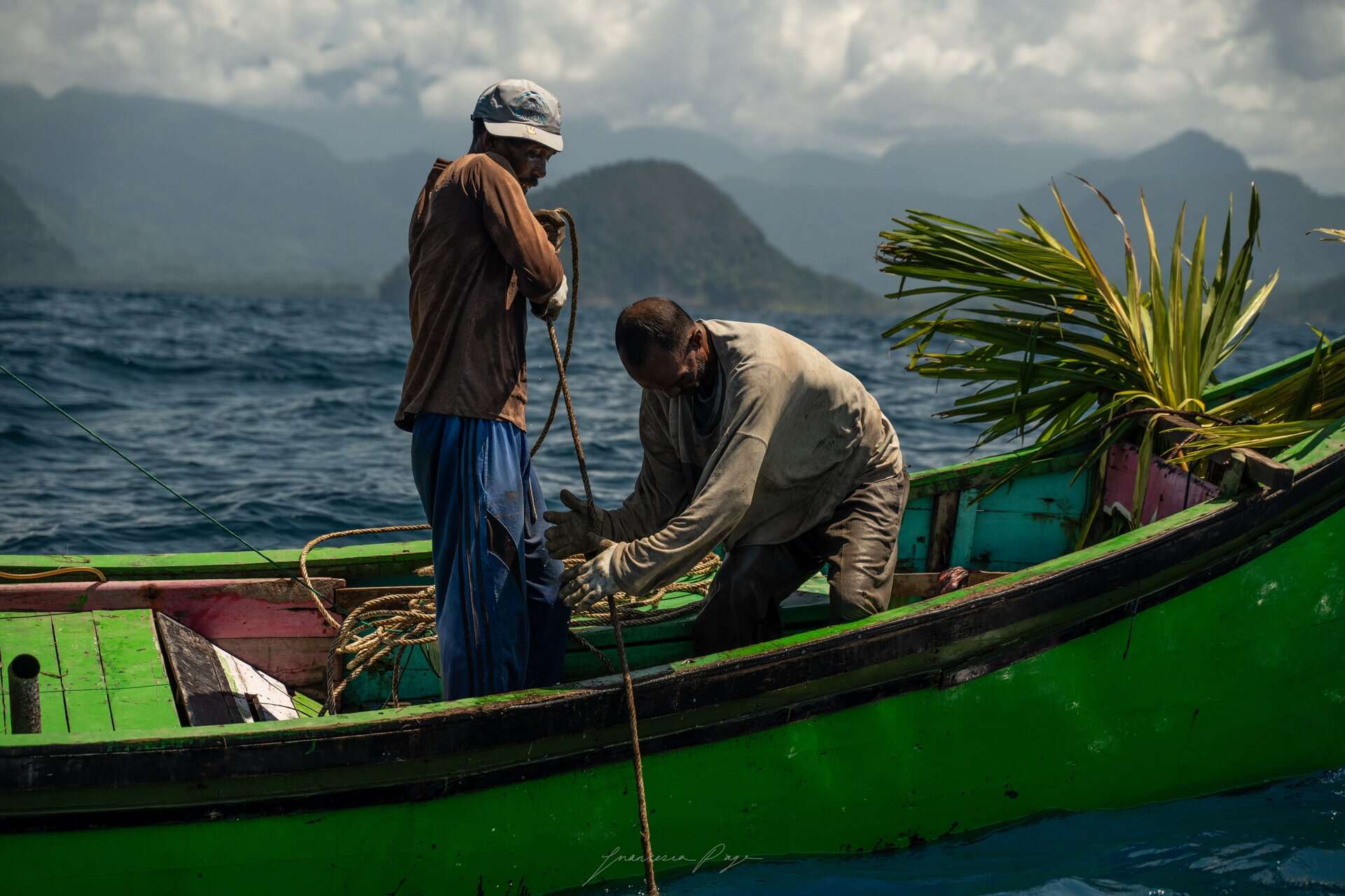 Expedition Impact Program - Travel that Advances Ocean Conservation