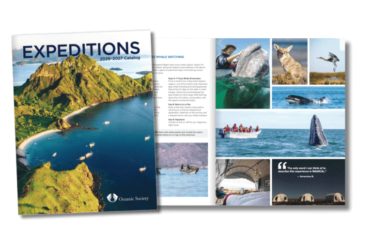2026–2027 Expeditions Catalog | Wildlife & Conservation Travel